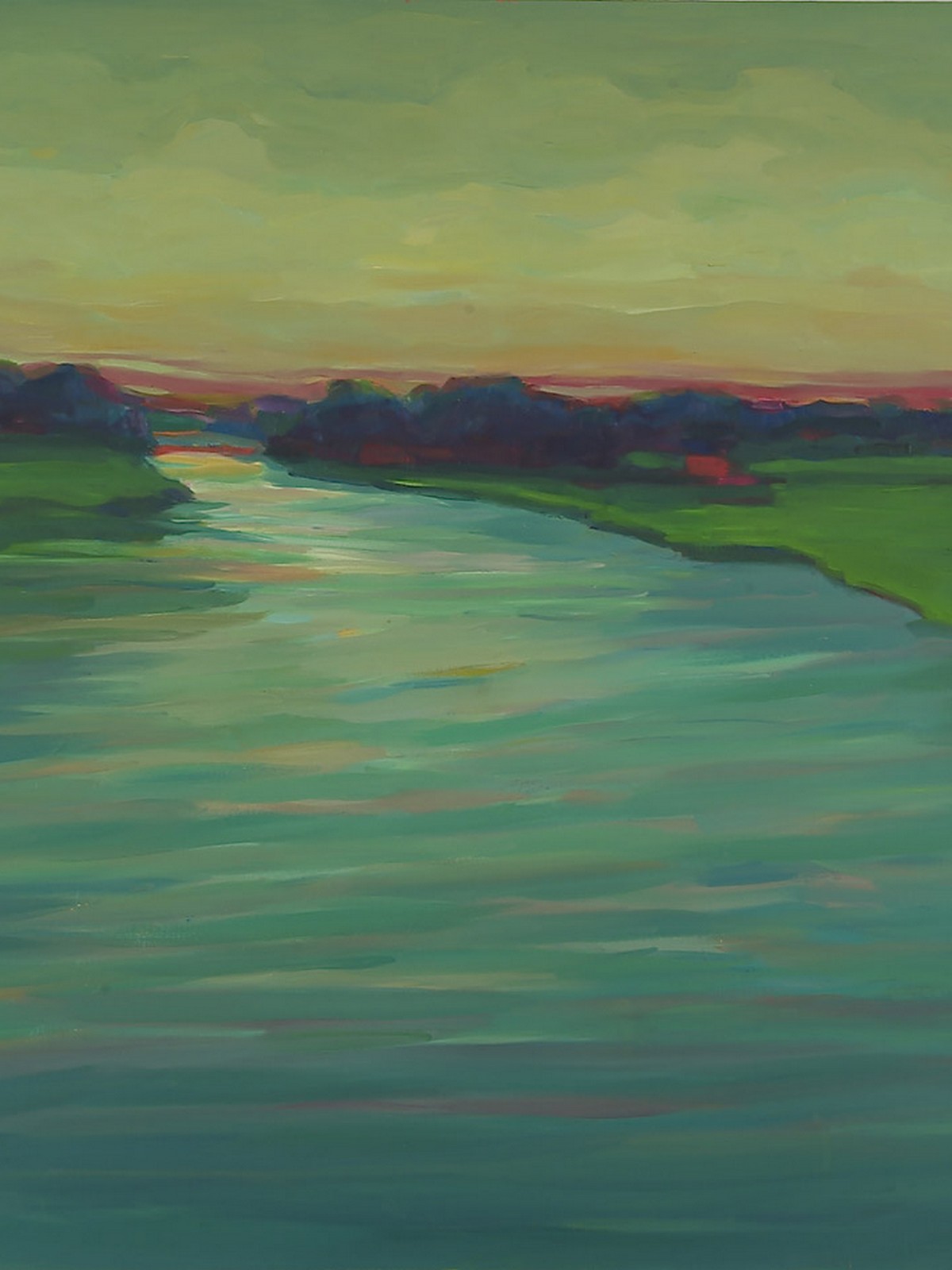 Río Grande de Loíza | Museo de Arte de Puerto Rico